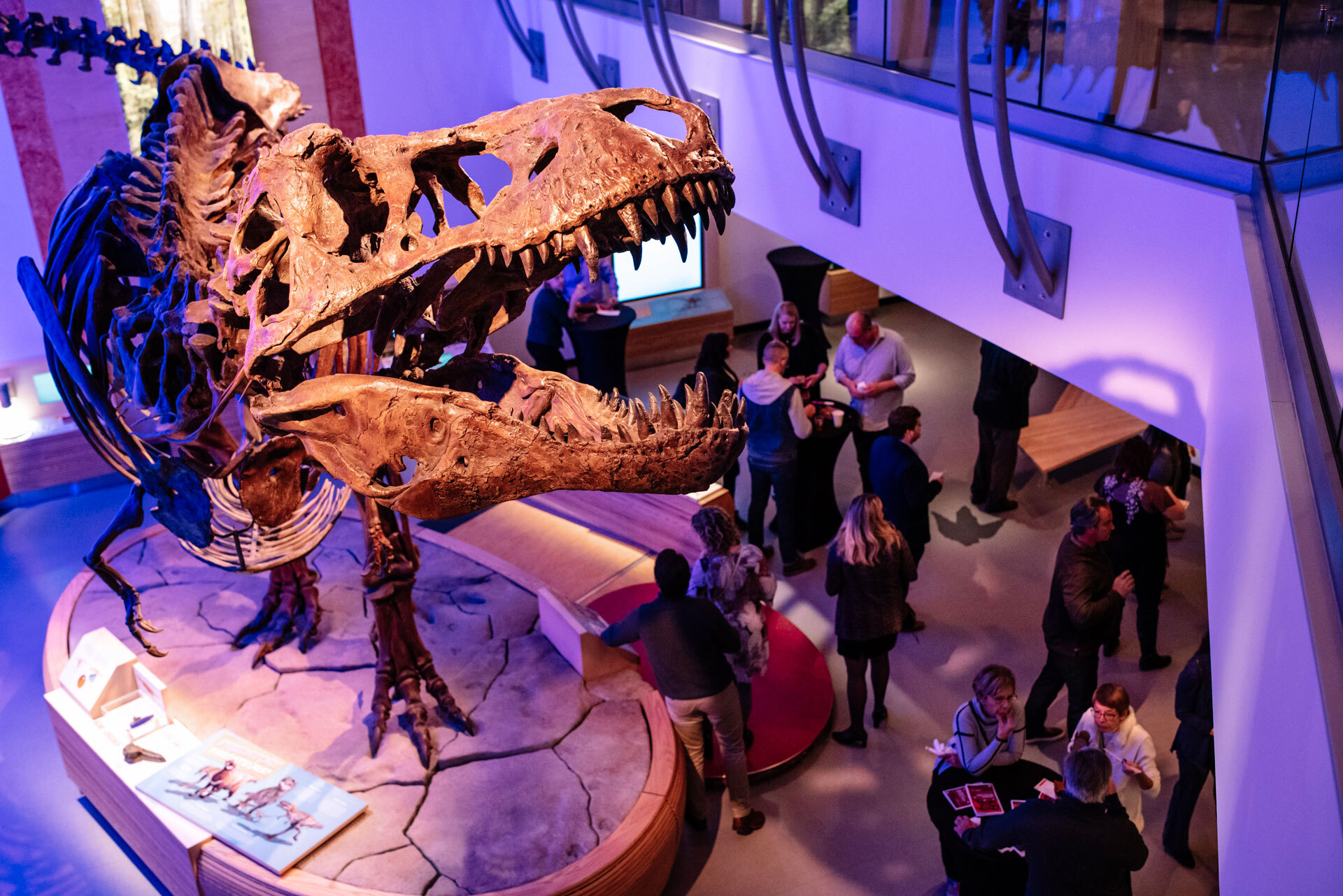 Home « Royal Saskatchewan Museum